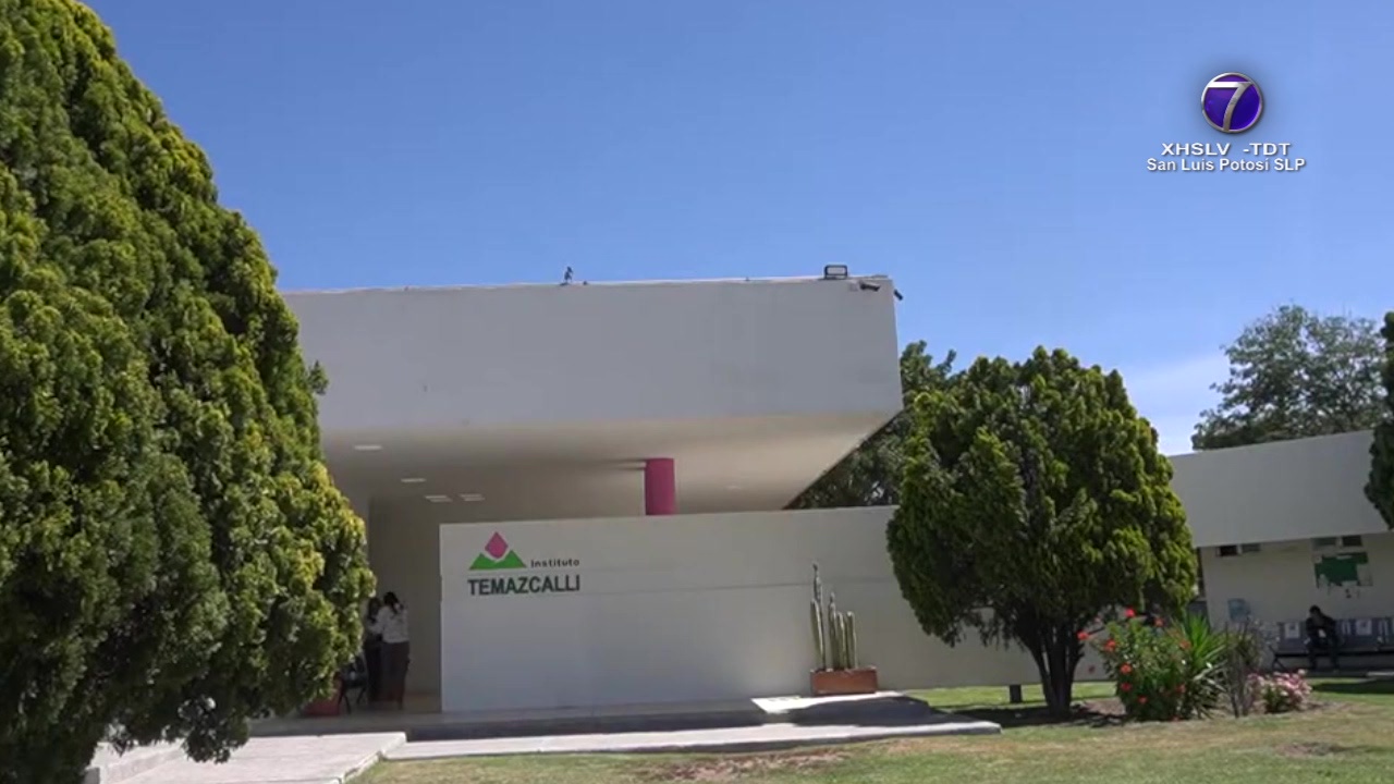 Cifra récord de atenciones reporta Temazcalli el primer semestre de ...