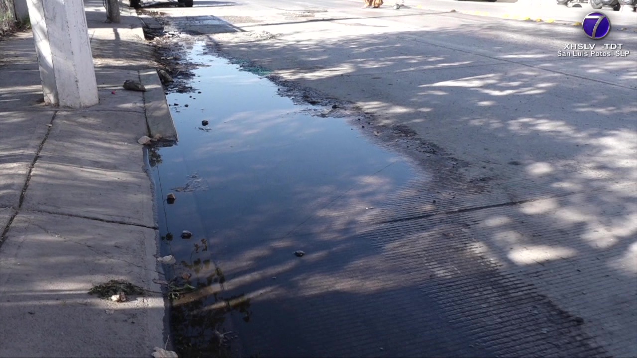 Fuga de agua en avenida San Pedro, propició formación de baches - Canal ...